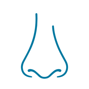 Deviated Septum | ENT for Kids